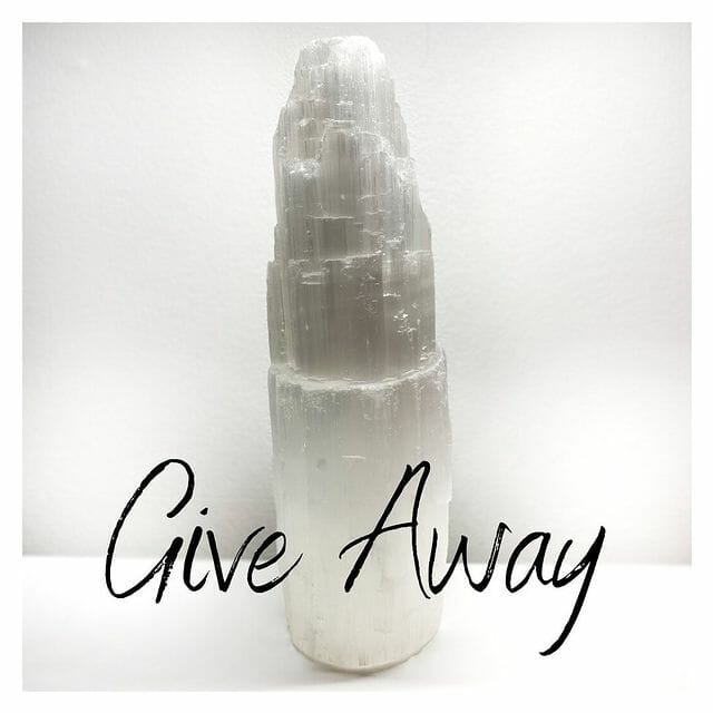 Aloe vera is more than just a plant - Surrender To Happiness