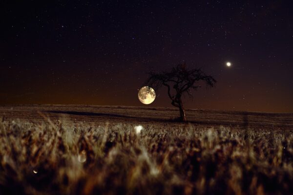 Moonbathing Rituals for the Full Buck Moon - Surrender To Happiness